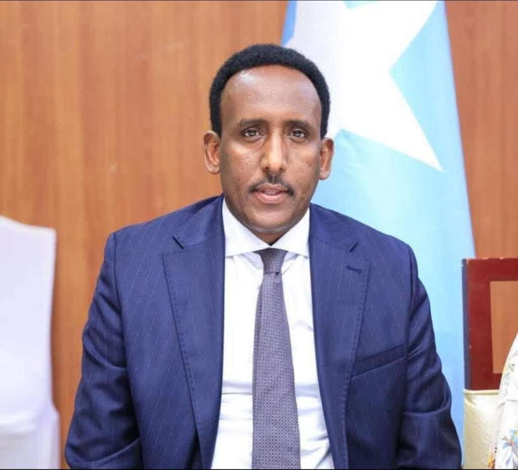 The Somali Council of Ministers approves a new Immigration and ...